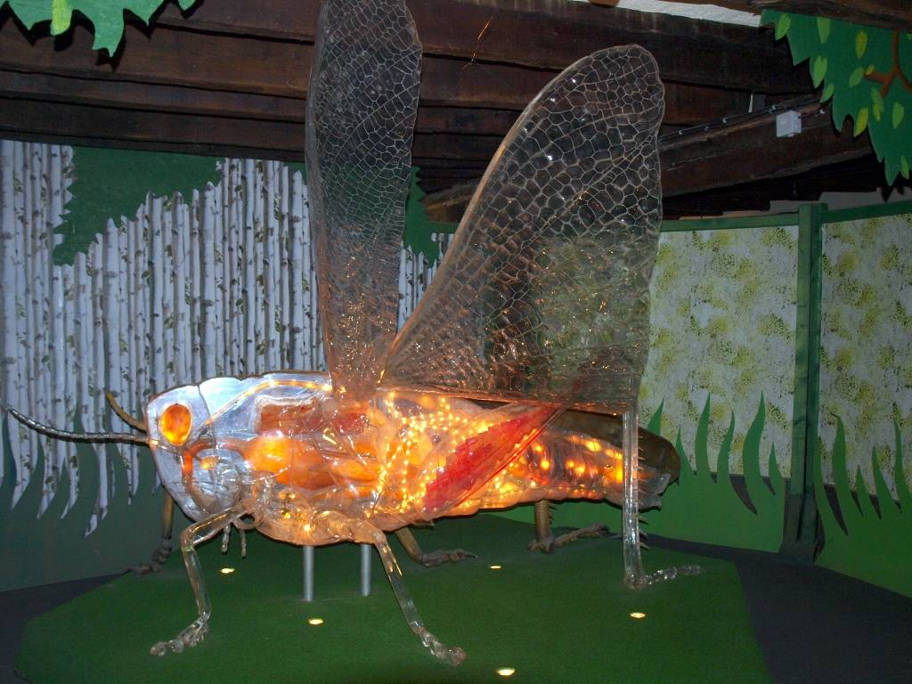 Pass Limoges Malin : visiter les sites touristiques de Limoges